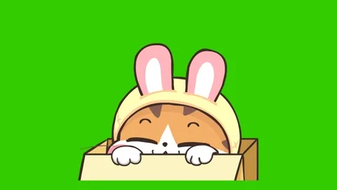 Animated Cat Popping Out of Box - Green ... | Stock Video | Pond5