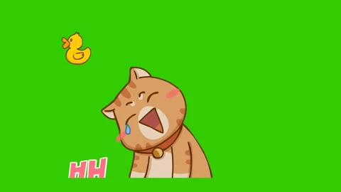 Laugh Cat Gif Stock Videos – Royalty-Free HD & 4K Videos