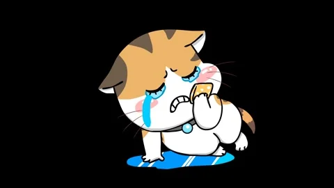 Animated cat sitting and crying with a h... | Stock Video | Pond5