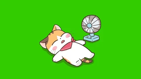 Sleeping Cat Animated Stock Videos – Royalty-Free HD & 4K Videos