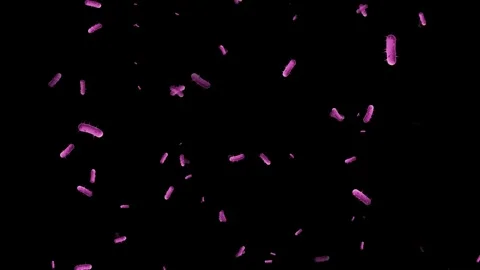 Animated Cells 2 Styles Overlay AEP ~ After Effects #283783353