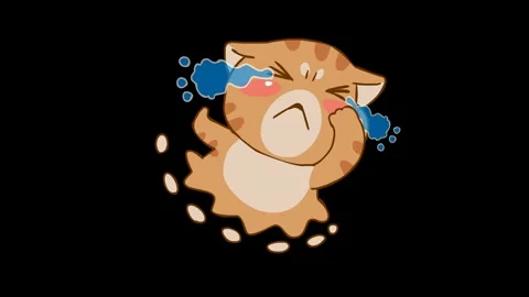 Crying Cat Stock Videos – Royalty-Free HD & 4K Videos | Pond5