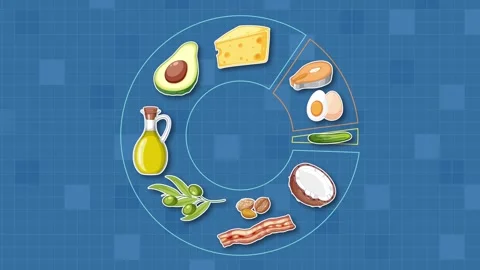 Animated Circular Chart of Low-Carb Food... | Stock Video | Pond5