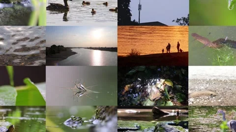 Multiple Clips Stock Videos – Royalty-Free HD & 4K Videos | Page 5