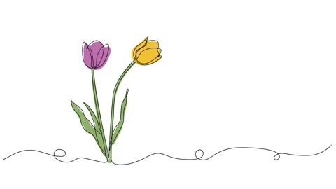 single line tulip