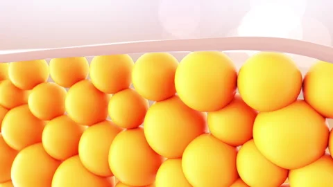 Combination Skin Stock Videos – Royalty-Free HD & 4K Videos