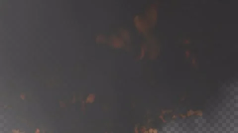 Files Embedding Stock Video Footage | Royalty Free Files Embedding ...