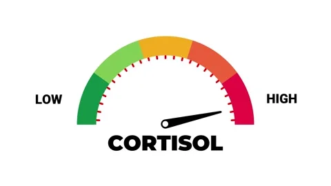 Stress Level Low Stock Videos – Royalty-Free HD & 4K Videos