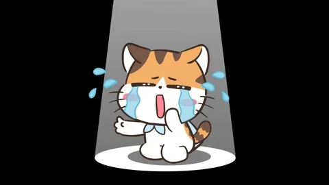 Animated Crying Cat Begging - Transparen... | Stock Video | Pond5