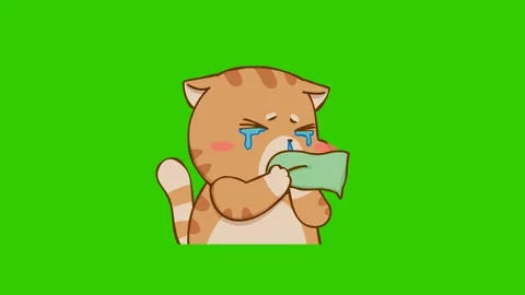 Animated Crying Cat with Running Snot - ... | Stock Video | Pond5