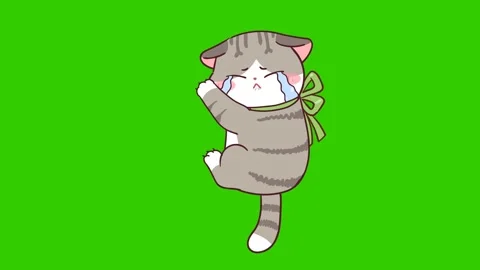 Animated Cute Cat Crying on Wall with Gr... | Stock Video | Pond5
