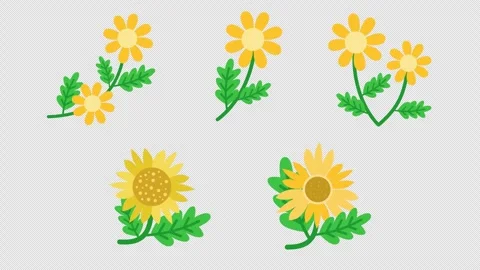 Beautiful Cute Stickers Stock Videos – Royalty-Free HD & 4K Videos