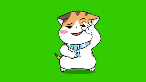 Animated Cute Dancing Cat - Green Screen | Stock Video | Pond5