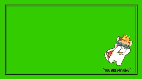 Little My Stock Videos – Royalty-Free HD & 4K Videos