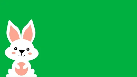 animated cute rabbit on green screen con... | Stock Video | Pond5