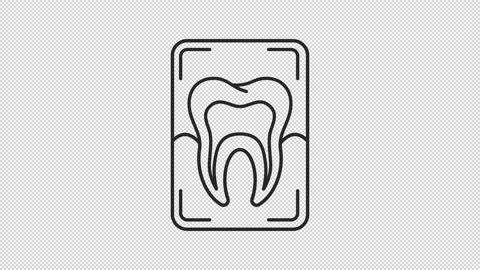 Animated dental x-ray linear icon | Stock Video | Pond5