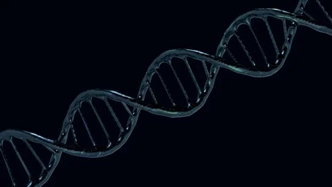 Animated DNA chain model. 3D rendering | Stock Video | Pond5