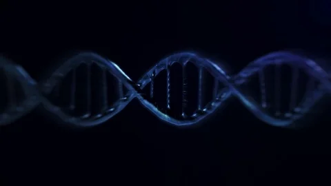 Animated DNA chain model. 3D rendering | Stock Video | Pond5