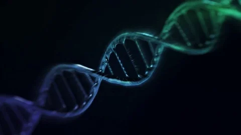 Animated DNA chain model. 3D rendering | Stock Video | Pond5