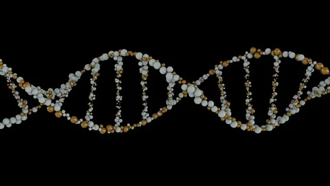 Animated DNA chain model. 3D rendering | Stock Video | Pond5