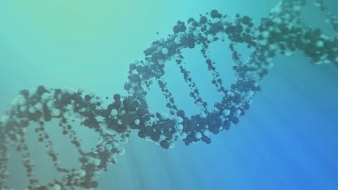 Animated DNA chain model. 3D rendering | Stock Video | Pond5