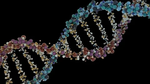 Animated DNA chain model. 3D rendering | Stock Video | Pond5