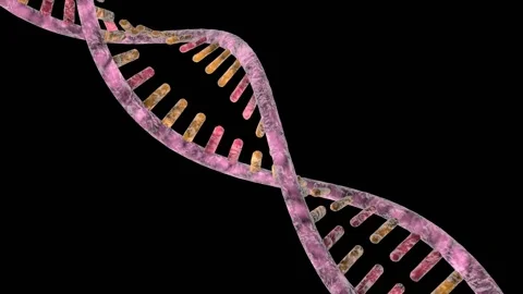 Animated DNA chain model. 3D rendering | Stock Video | Pond5