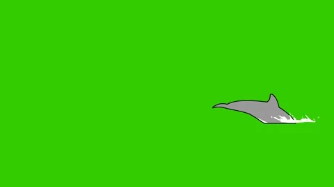 Jumping Dolphin Animation Stock Footage ~ Royalty Free Stock Videos | Pond5