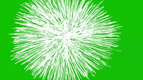 Animated Fireworks Stock Video Footage | Royalty Free Animated ...