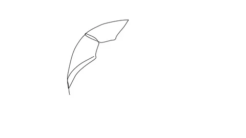 Swimming Animated Images Stock Videos – Royalty-Free HD & 4K Videos