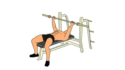 Animated drawing of male workout bench p... | Stock Video | Pond5