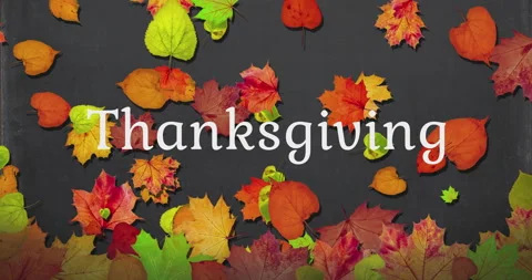 Animated dry autumn leaves background wi... | Stock Video | Pond5