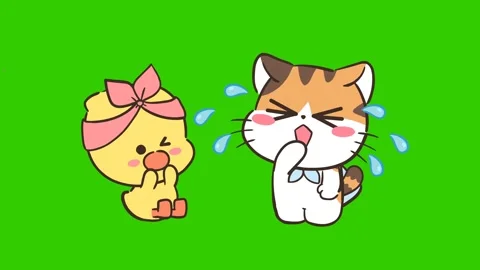 Duck Laughing Stock Videos – Royalty-Free HD & 4K Videos | Pond5