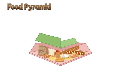Animated Evolution of a Modern Food Pyra... | Stock Video | Pond5