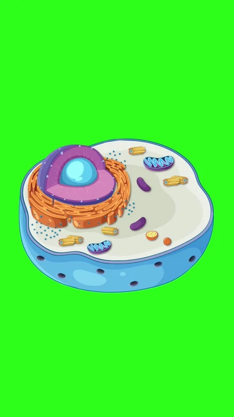 Animated Exploration of Animal Cell and ... | Stock Video | Pond5