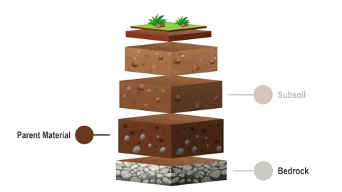 An animated exploration of soil layers a... | Stock Video | Pond5