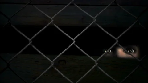 Animated eyes peeking through a fence at... | Stock Video | Pond5