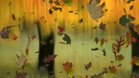 Animated falling leaves with autumn back... | Stock Video | Pond5