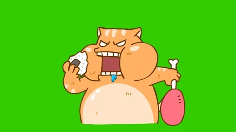 Animated Fat Cat Eating Food with Green ... | Stock Video | Pond5
