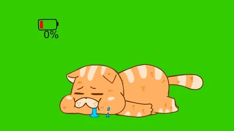 Animated Fat Cat Exhausted - Green Scree... | Stock Video | Pond5