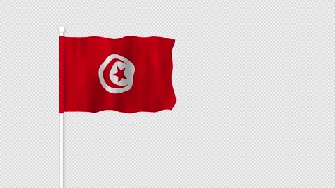 Animated Flag Of Tunisia On Pole With Tr... | Stock Video | Pond5