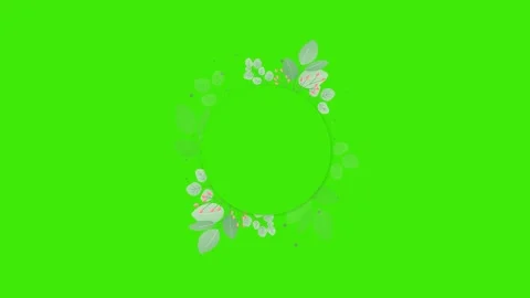 animated flower frame on green screen | Stock Video | Pond5