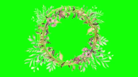 animated flower frame on green screen | Stock Video | Pond5