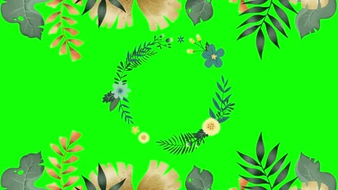 animated flower frame on green screen | Stock Video | Pond5