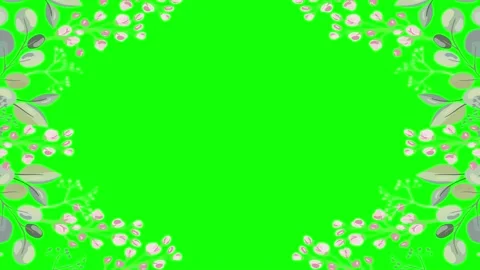 animated flower frame on green screen | Stock Video | Pond5