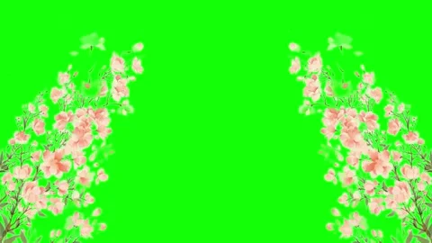 animated flower frame on green screen | Stock Video | Pond5