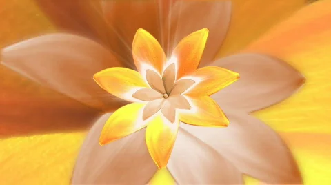 Animated Flowers Background - Floral | Stock Video | Pond5