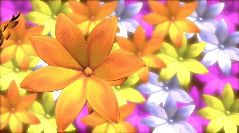 Animated Flowers Background - Looping | Stock Video | Pond5