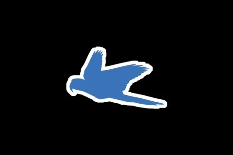 Animated Flying Bird with Alpha | Stock Video | Pond5