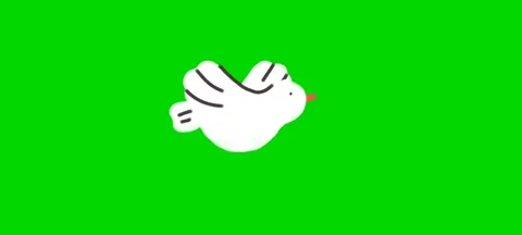 Animated flying bird and green backgroun... | Stock Video | Pond5